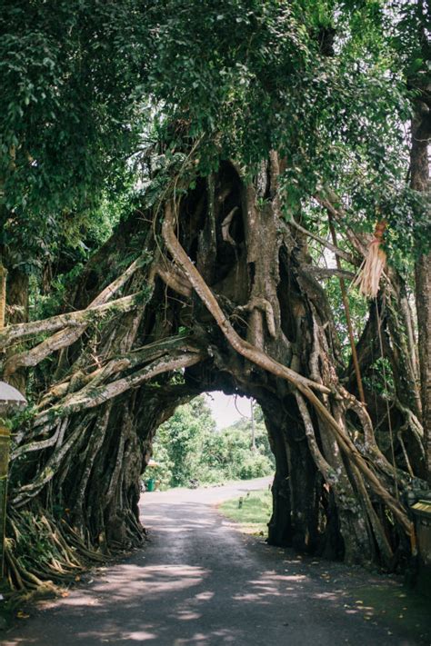 초기 그리스 철학자들 서양 철학에 대한 7가지 주요 기여 Please Note That For Specific Academic Or Historical Contexts