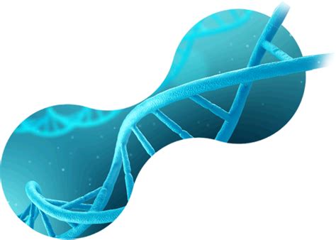 Metafluidics Microbiology Meets Microfluidics
