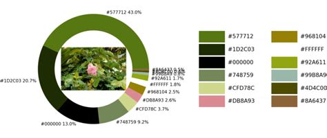 Image Color Extraction With Python In 4 Steps Towards Data Science