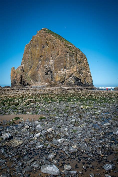 When To See Tide Pools In Cannon Beach 2026 Roseandemerald