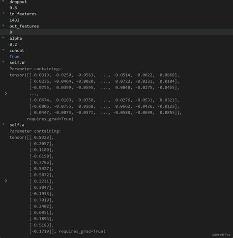 【pyg】图神经网络gat代码自学gat的权重初始化代码 Csdn博客