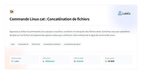 Commande Linux Cat Concaténation De Fichiers Labex