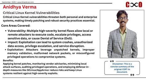 Critical Linux Kernel Vulnerabilities Risks Impacts And Practical