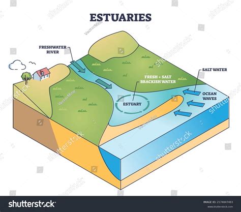 3894 Deltas And Estuaries Gambar Foto Stok And Vektor Shutterstock
