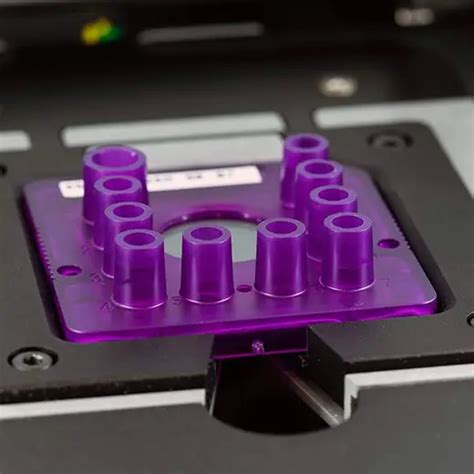 Labchip Aav Empty Full Chip Bundle Revvity