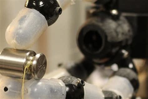 Robots With Eyes In Their Hands May Prove More Dextrous Than Others