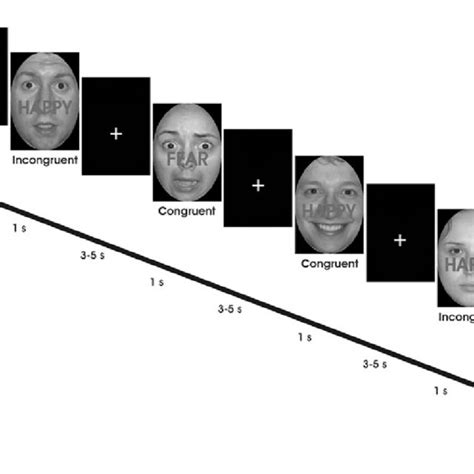 Pdf Frontal Eeg Activation Asymmetry Reflects Cognitive Biases In