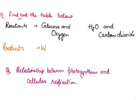 photosynthesis reactants and products equation