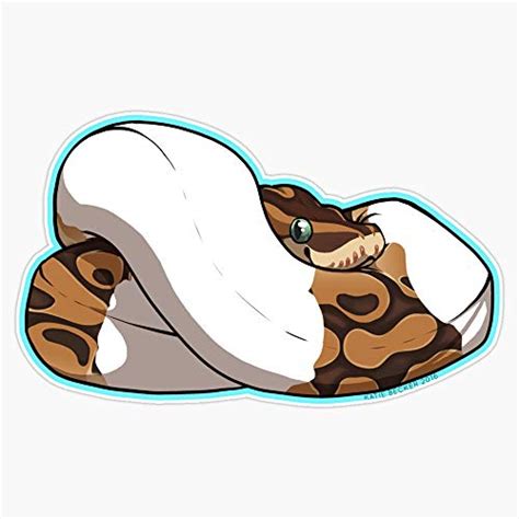 Exploring The Different Types Of Ball Pythons Morphs Patterns And