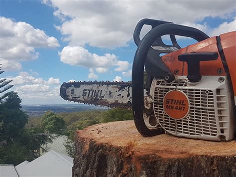 Home Hornsby Tree Services Removal