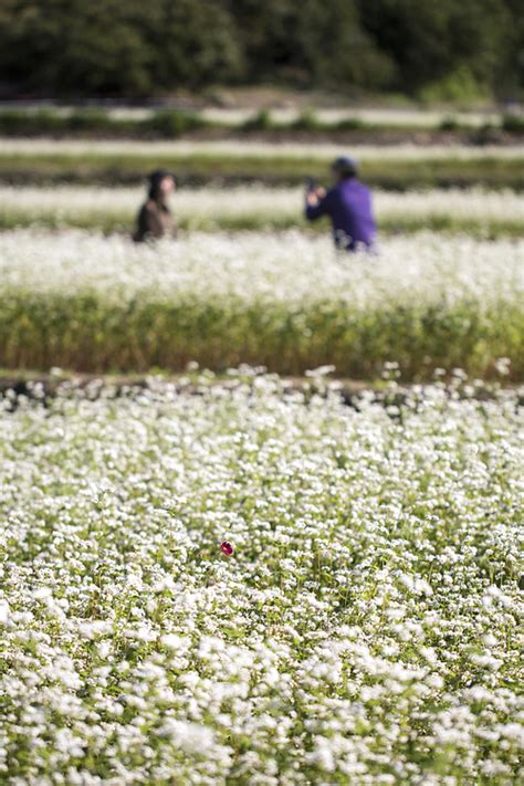 유토이미지 가을 021