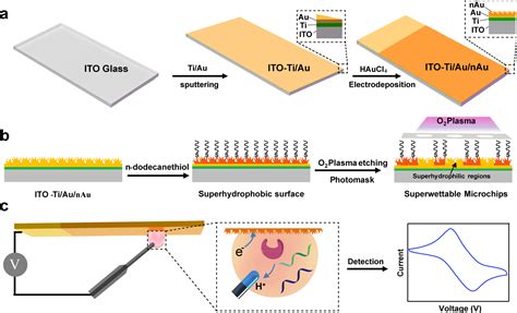 Electrochemical Detection Cancer Biomarkers At Esther Parr Blog