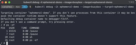 Kubernetes Ephemeral Container 란
