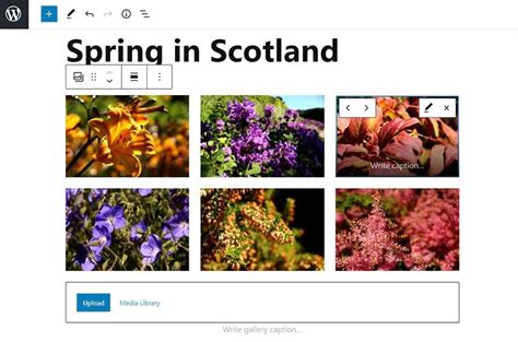 How To Fix Common Image Issues In WordPress DreamHost