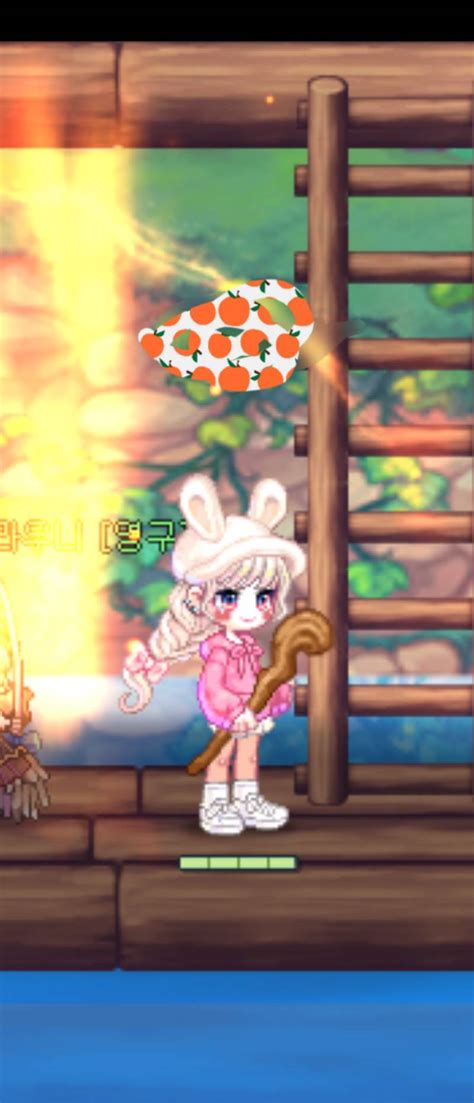 라테일 아는 사람 인스티즈 Instiz 일상 카테고리