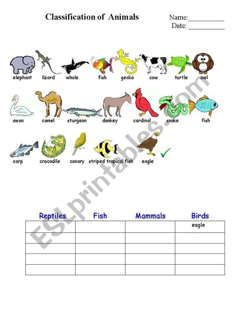 Classification Of Animals 1 Esl Worksheet By Beucici17