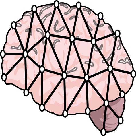 Human Brain Algorithm Lateral Figure Science Figures