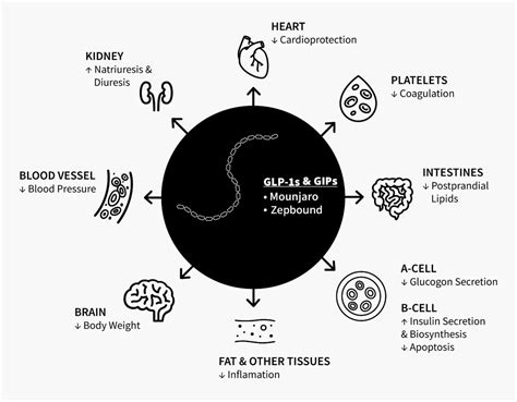 Weight Optimization In Westminster Co Supportive Programs