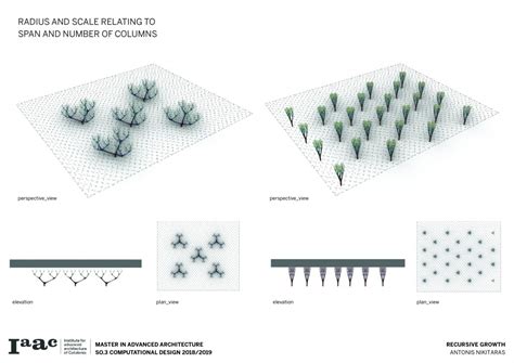 Recursive Growth Bifurcation Structures Conceived As Branching