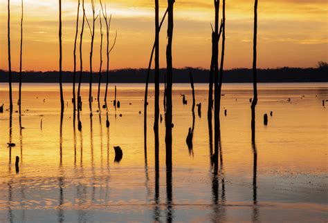 Saurabh Gupta 摄影