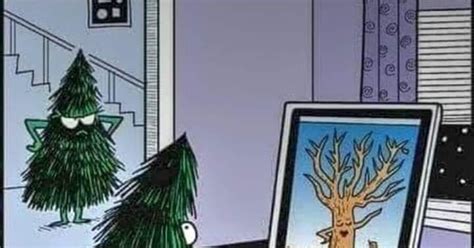 SPIRIT UNCENSORED Tree Porn SPIRIT UNCENSORED Tree Porn