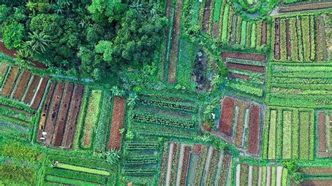 5 Advantages Of Setting Out Implied Easement Through Deed Of Easement By Docpro Medium