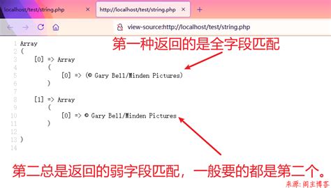 Php使用正则获取一段文字中小括号内的内容段 Php教程 阁主学习小站