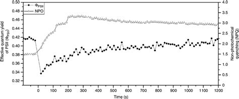 Response Of Non Photochemical Quenching Npq And Effective Quantum Download Scientific Diagram