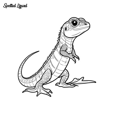 Lizard Hand Drawing Coloring Page And Outline Vector Design Premium