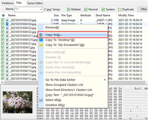 File Recovery Recover Deleted Formatted Or Lost Files