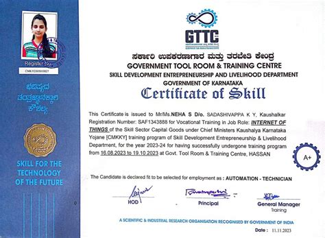 I Earned A Certificate Internet Of Things Neha S Posted On The