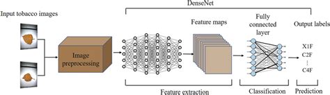 the framework of the tobacco grading process based on densenet