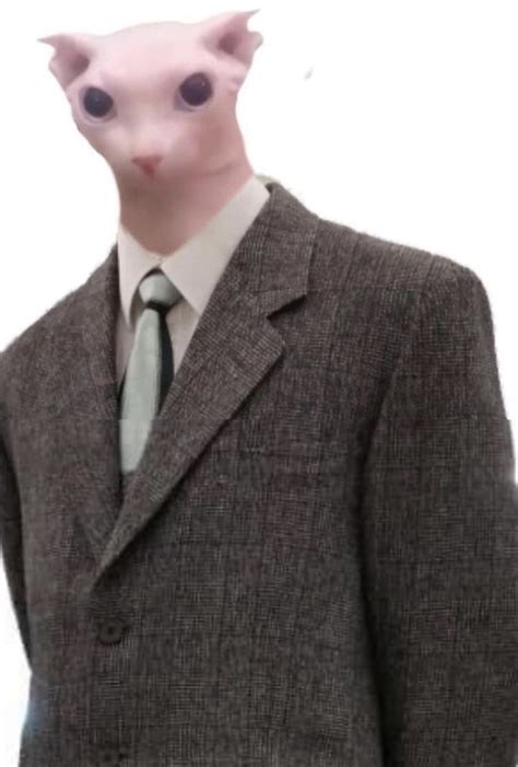 Un Michi Gatos En Trajes Gato Con Corbata Vestidos De Gato