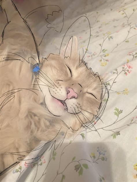Dont Wake Em Hes Very Eepy Bonus Eevee R Oneorangebraincell