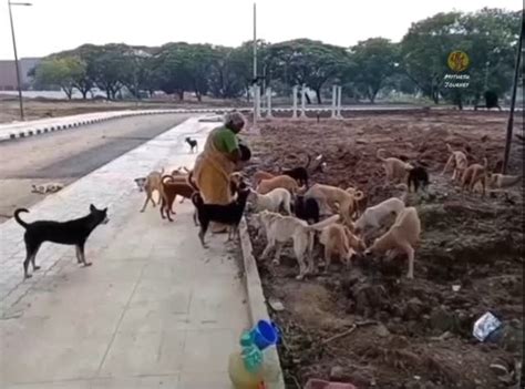 Mythesh Kumar K கடக ராசிக்கு வருகின்ற 2025 மார்ச் மாதத்திற்கு மேல் எதிர்பாரா உதவிகள் கிட்டும்