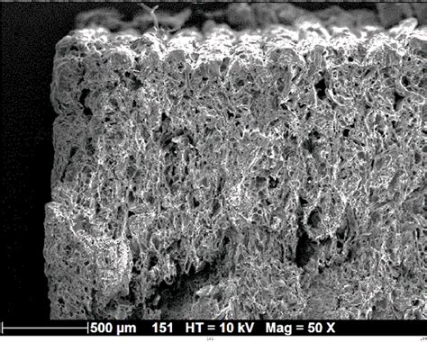 Sem Micrographs Showing The Fracture Patterns At Different