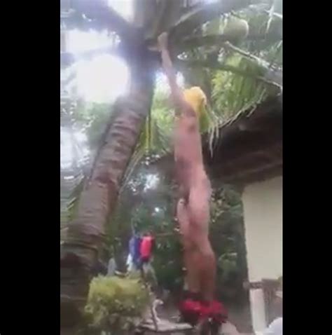 Pantsed While Climbing Tree ThisVid Com
