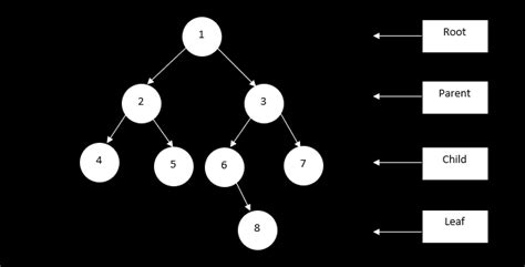 Binary Tree Struktur Data