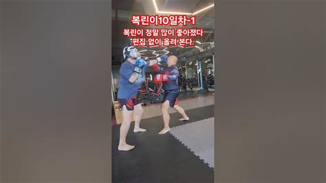 복린이 각성했다하노이복싱 하노이킥복싱 하노이운동 하노이 Boxing 복싱 복싱스파링 복싱난타전 복싱초보 복싱배우기 하노이남자운동 복린이 복린이