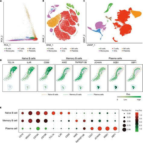 Flow Diagram Of Single Cell RNA Sequencing GEM Generation CDNA Download Scientific Diagram