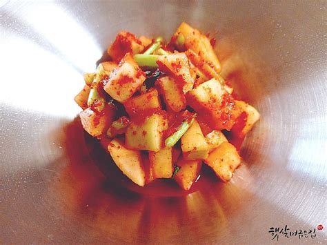 깍두기 설렁탕국밥집 담그는법 무요리 도시락밑반찬