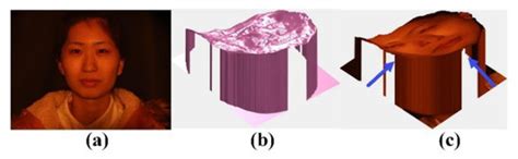 Photonics Special Issue Advanced Polarimetry And Polarimetric Imaging