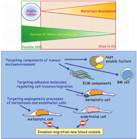 Upper Panel Expected Success Of Cancer Chemotherapy In The Absence Or