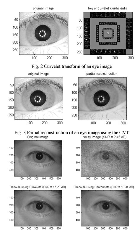 Figure 3 From Low Complexity Iris Recognition Using Curvelet Transform