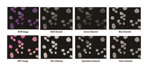 Individual Color Components Of Rgb And Hsv Color Models In The