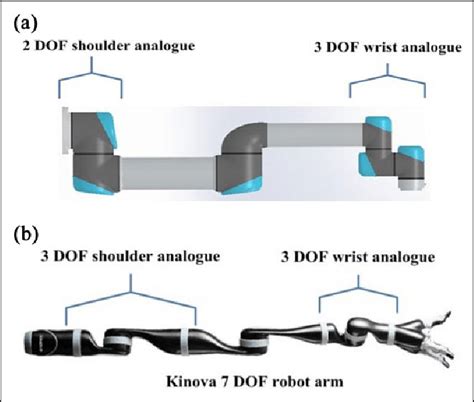 Typical 2 And 3 Dof Joint Analogs Of Robot Arms A The 2 And 3 Dof Download Scientific