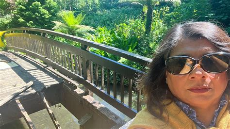 No Contractor To Fix Kelsey Park Bridges Bromley Liberal Democrats