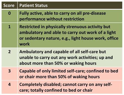 The Eastern Cooperative Oncology Group Ecog Performance Score
