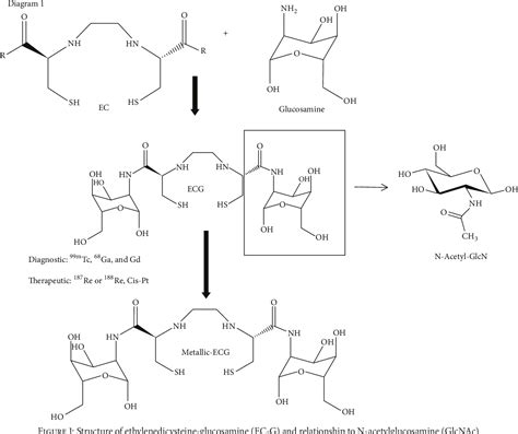 Figure 1 From Noninferiority Of 99mtc Ethylenedicysteine Glucosamine As