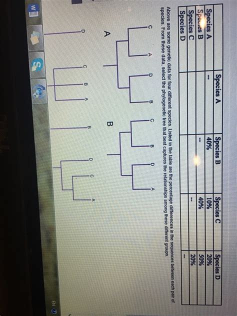 Solved Species A Species B Species C Species D Species A Chegg Com